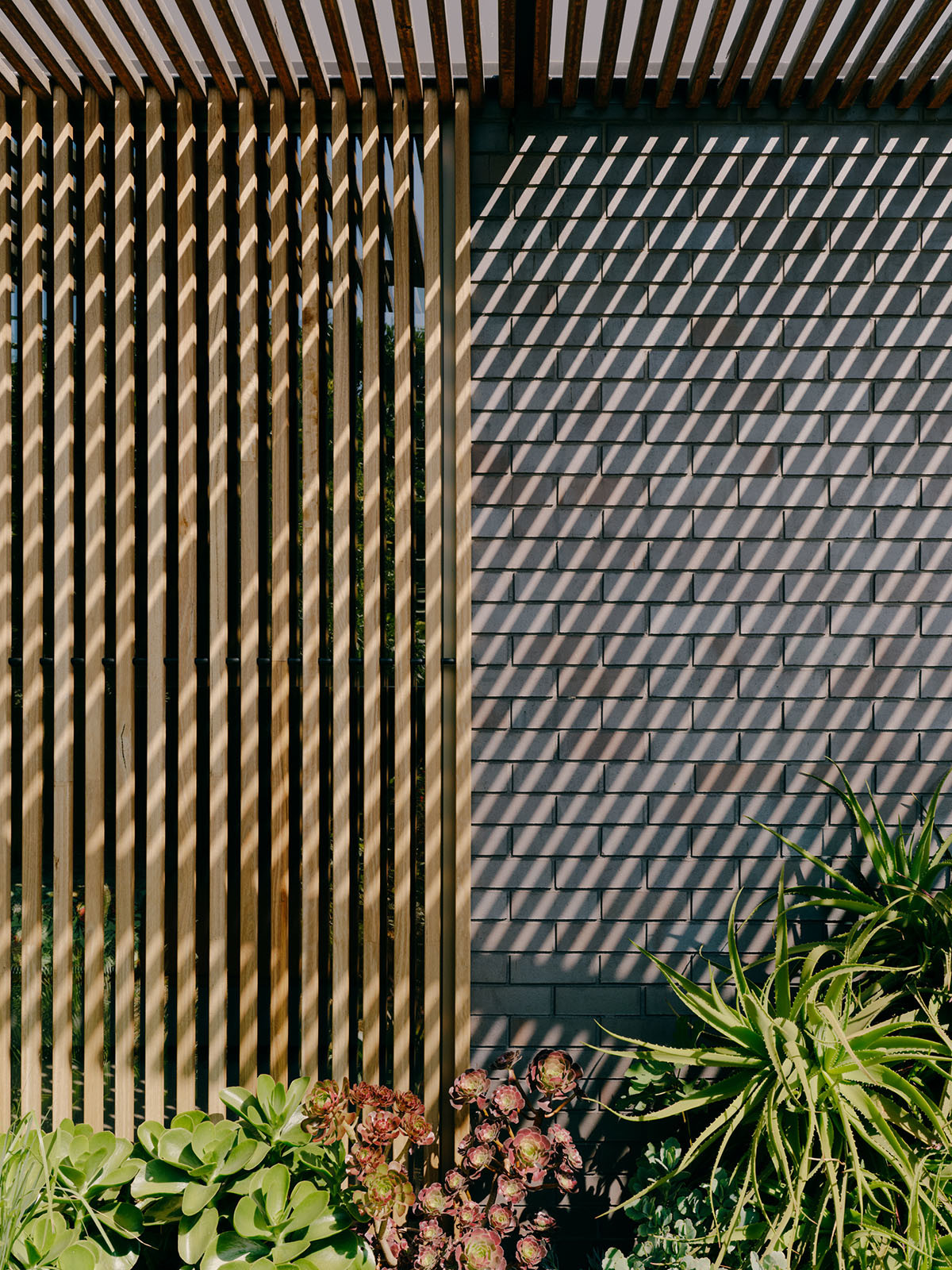 Parasol – Architecture architecture